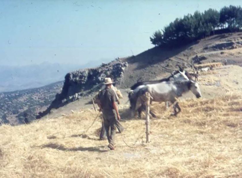 Παραδοσιακό αλώνισμα στο Βαλτεσινίκο - ΠΡΩΙΝΟΣ ΜΟΡΙΑΣ