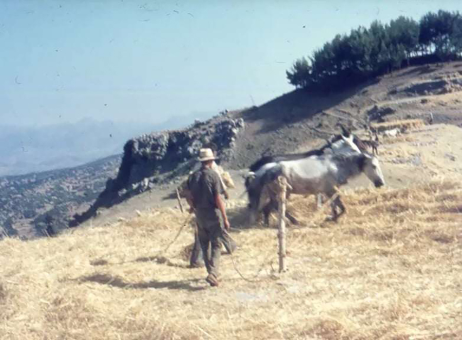 Παραδοσιακό αλώνισμα στο Βαλτεσινίκο - ΠΡΩΙΝΟΣ ΜΟΡΙΑΣ